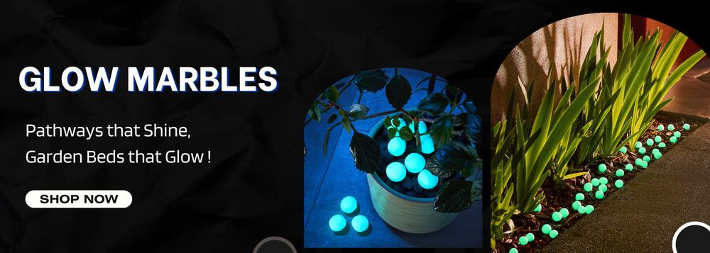 Brightest Glow in the Dark Rocks | Electricity-Free | Eco-Friendly